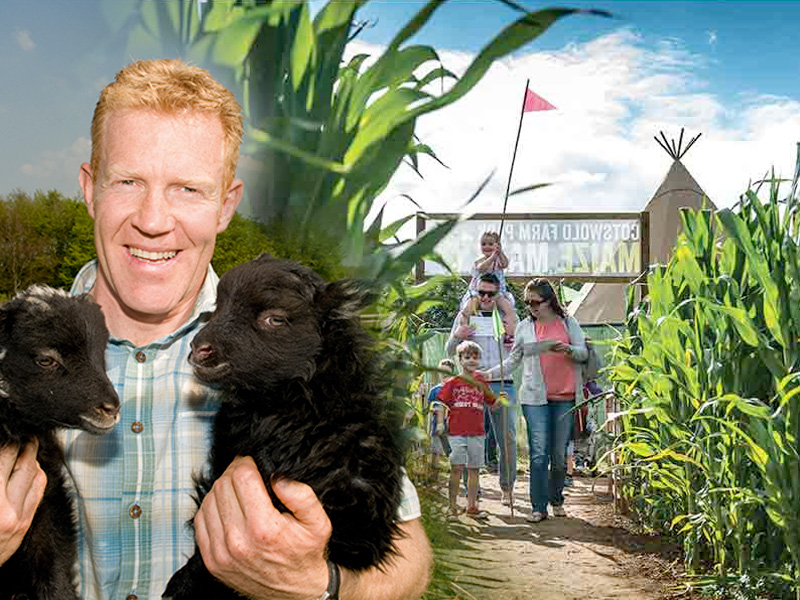 Whats on in Gloucestershire - 'Summer on the Farm' at Adam Henson's ...