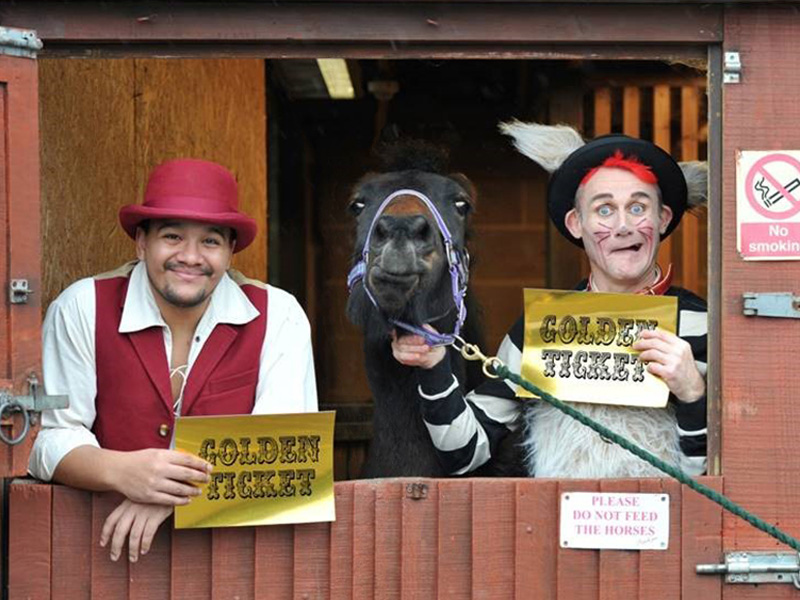 Whats on in Gloucestershire - Gloucestershire’s homegrown panto goes ...