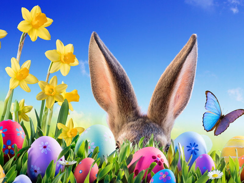 Whats on in Gloucestershire - 35 Things to do in Gloucestershire this ...