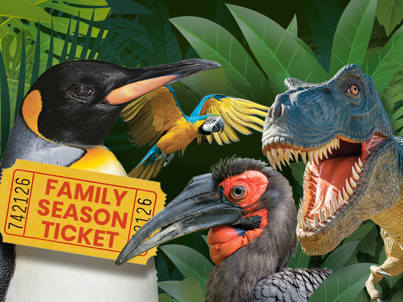 Whats on in Gloucestershire - WIN a Family Season Ticket to Birdland ...