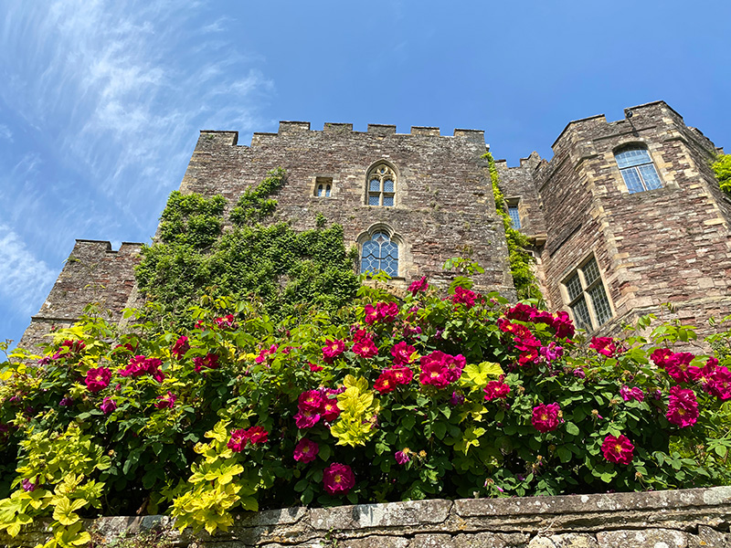 Whats on in Gloucestershire - Medieval Magic and Family Fun at Berkeley ...