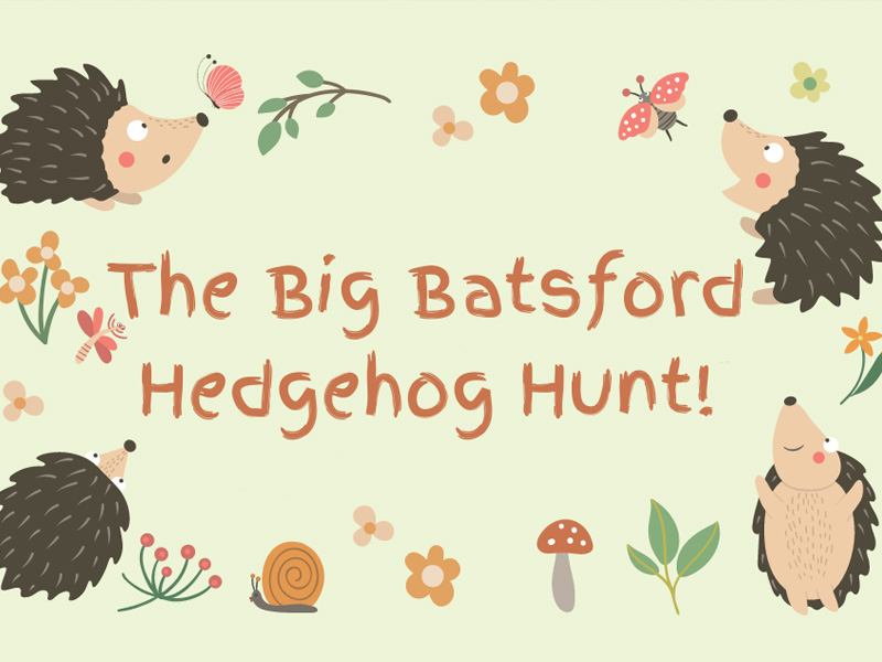 Whats on in Gloucestershire - The Hedgehog Hunt Returns to Batsford ...