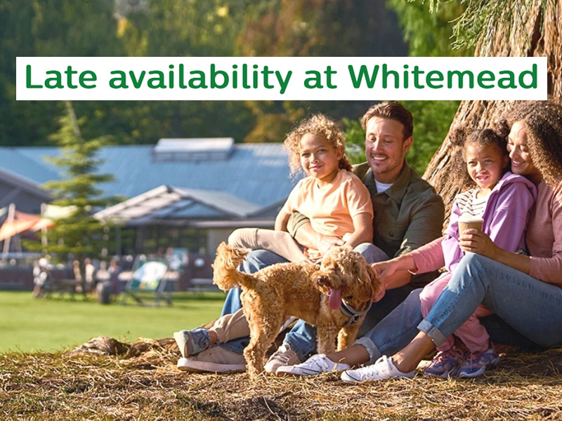 Whats on in Gloucestershire - Late Availability at Whitemead Forest ...