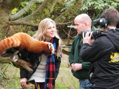 Whats on in Gloucestershire - Live 'n' Deadly live from Cotswold ...